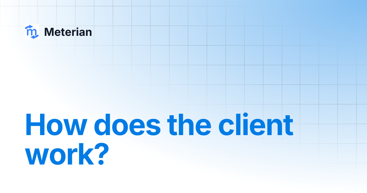 How does the client work? | Meterian