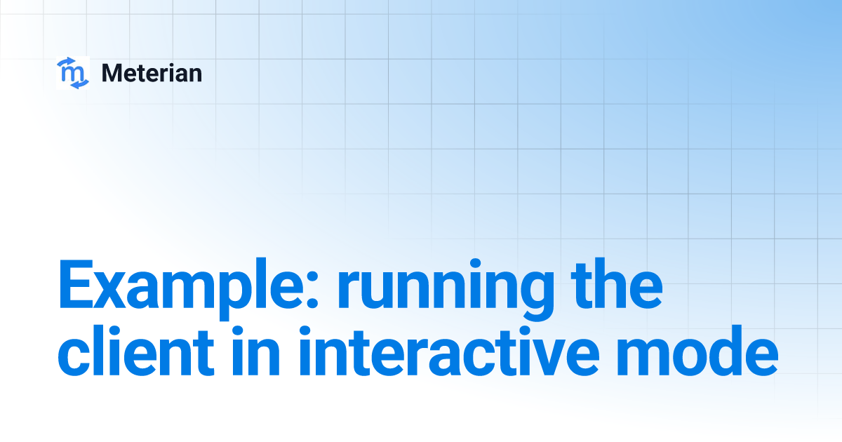 Example: running the client in interactive mode | Meterian